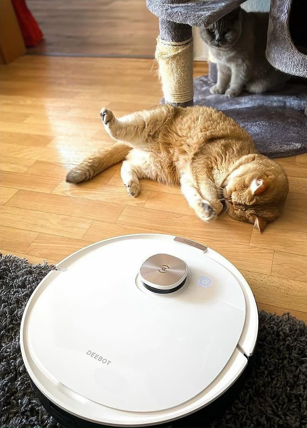 Robot hút bụi Ecovacs Deebot Ozmo T8 Max